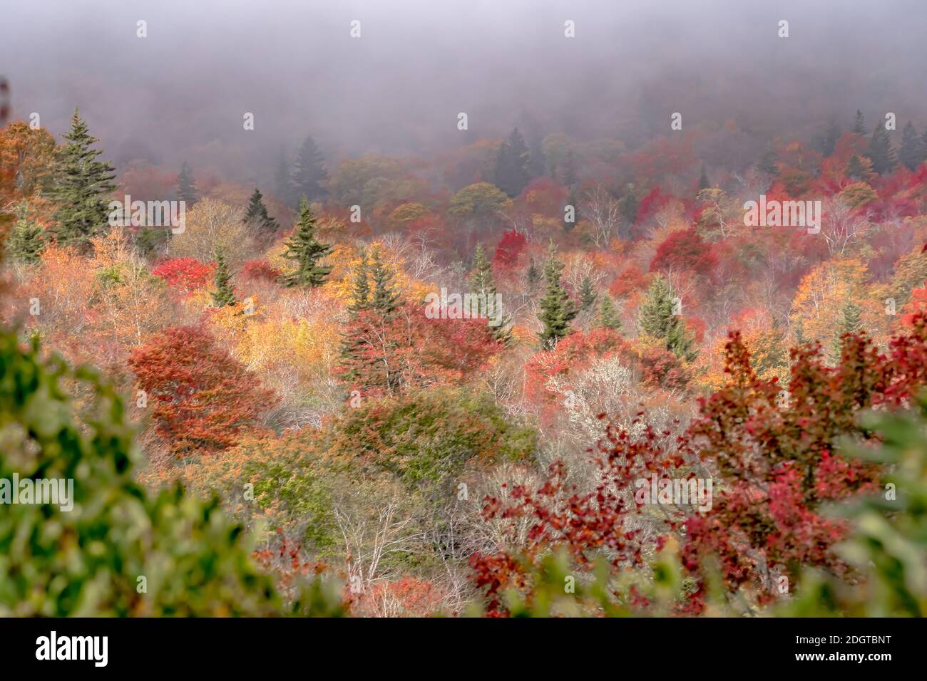 Autumn in the Appalachian Mountains Viewed Along the Blue Ridge Parkwa ...