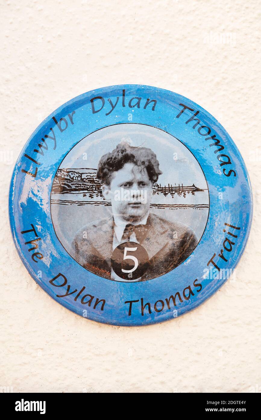 Blue wall plaque marking the Dylan Thomas Trail in New Quay, Ceredigion ...