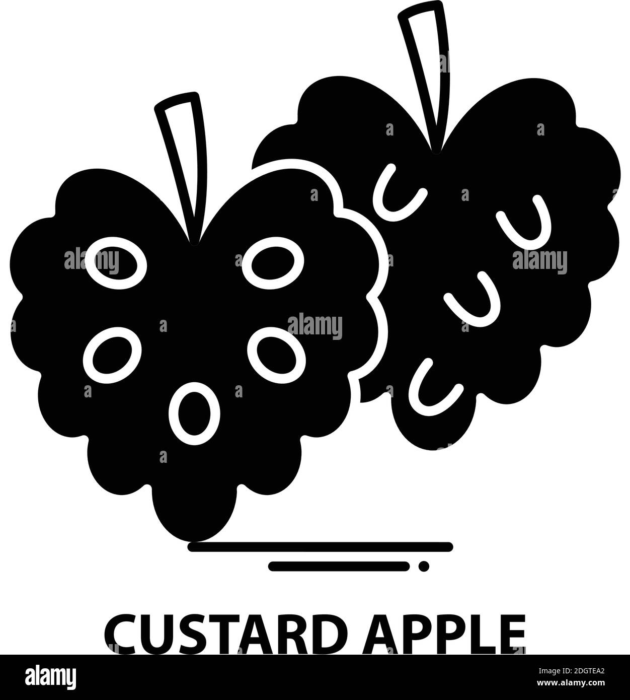 custard apple icon, black vector sign with editable strokes, concept ...