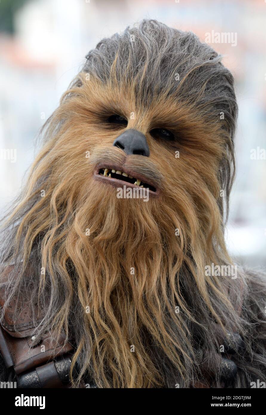 Chewbacca solo photocall hi-res stock photography and images - Alamy