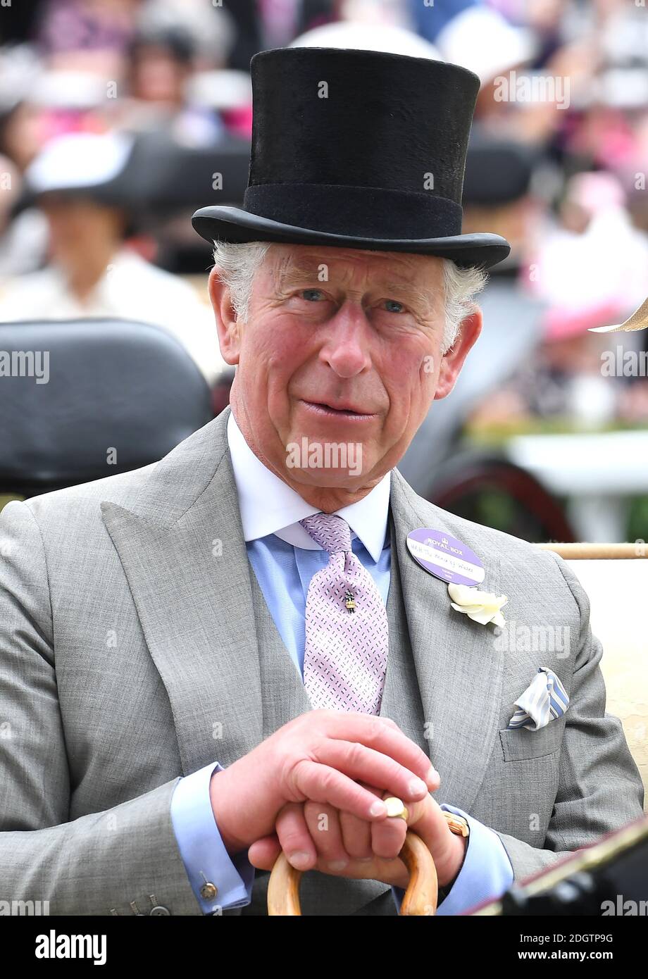 Royal charles head shot headshot prince of wales royals royalty hi-res ...
