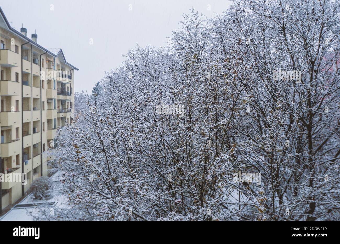 Winter urban landscape snow hi-res stock photography and images - Alamy