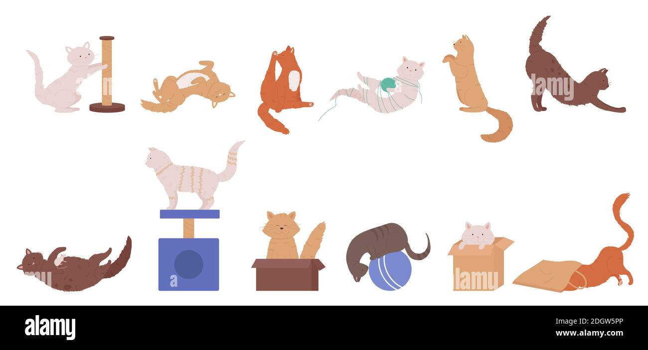 Cat pet plays vector illustration set. Cartoon adorable cute animal ...