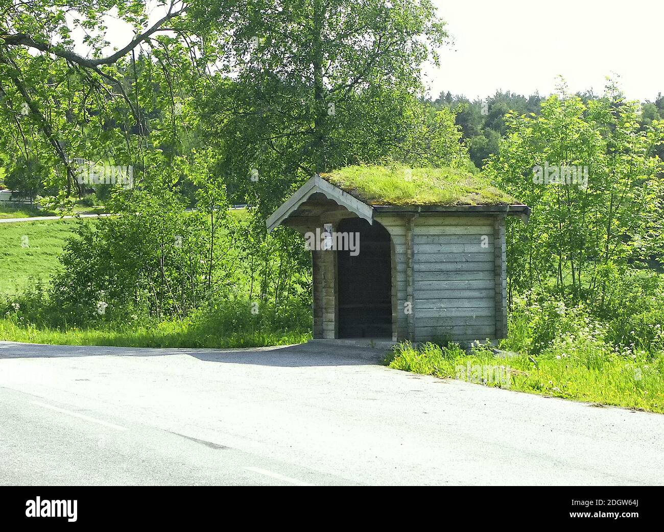 Wooden, green overgrown bus stop in Scandinavia Stock Photo - Alamy