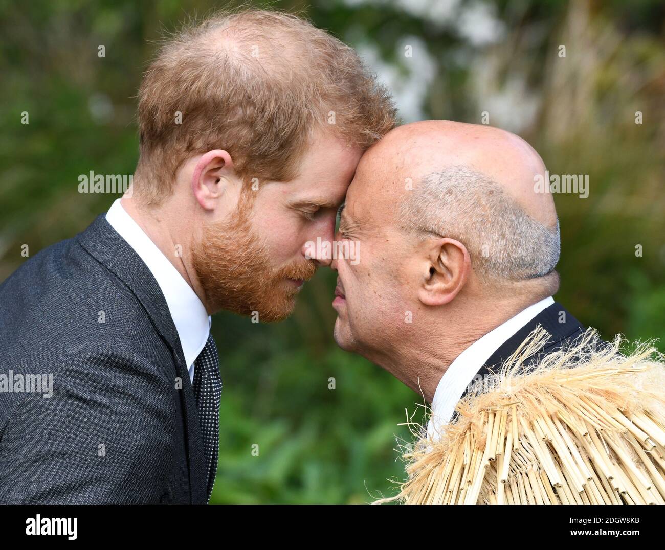 Prince Harry Duke of Sussex receives a hongi, a traditional Maori ...