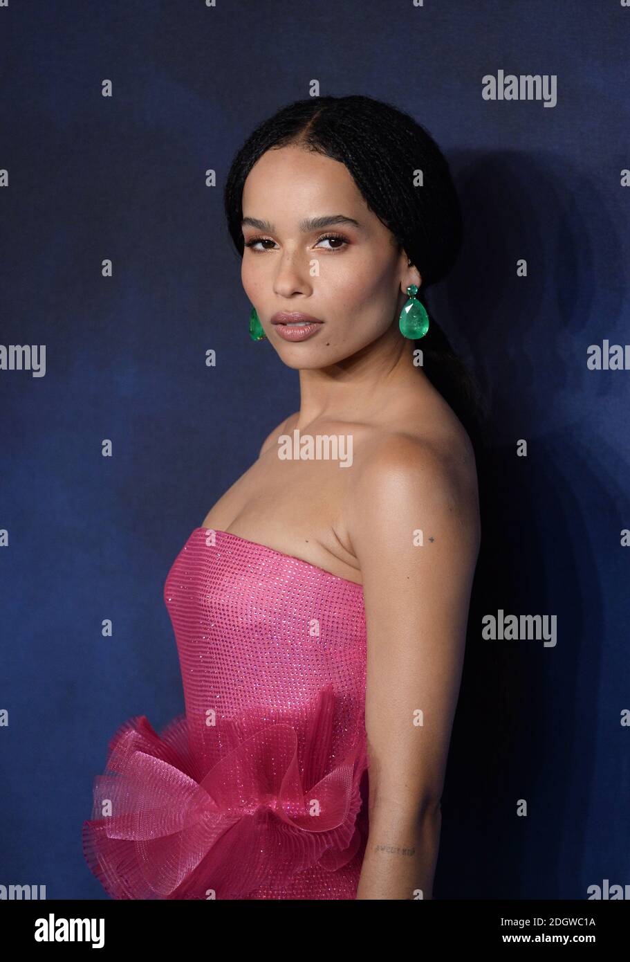 Lenny kravitz portrait hi-res stock photography and images - Alamy