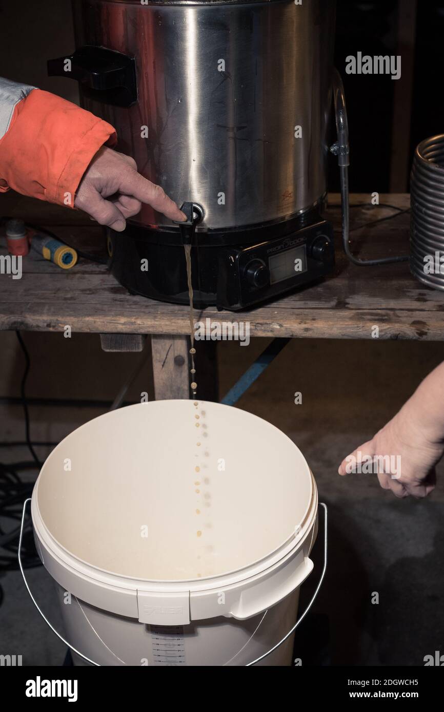 Filling the freshly brewed young beer into big bucket for fermentation ...