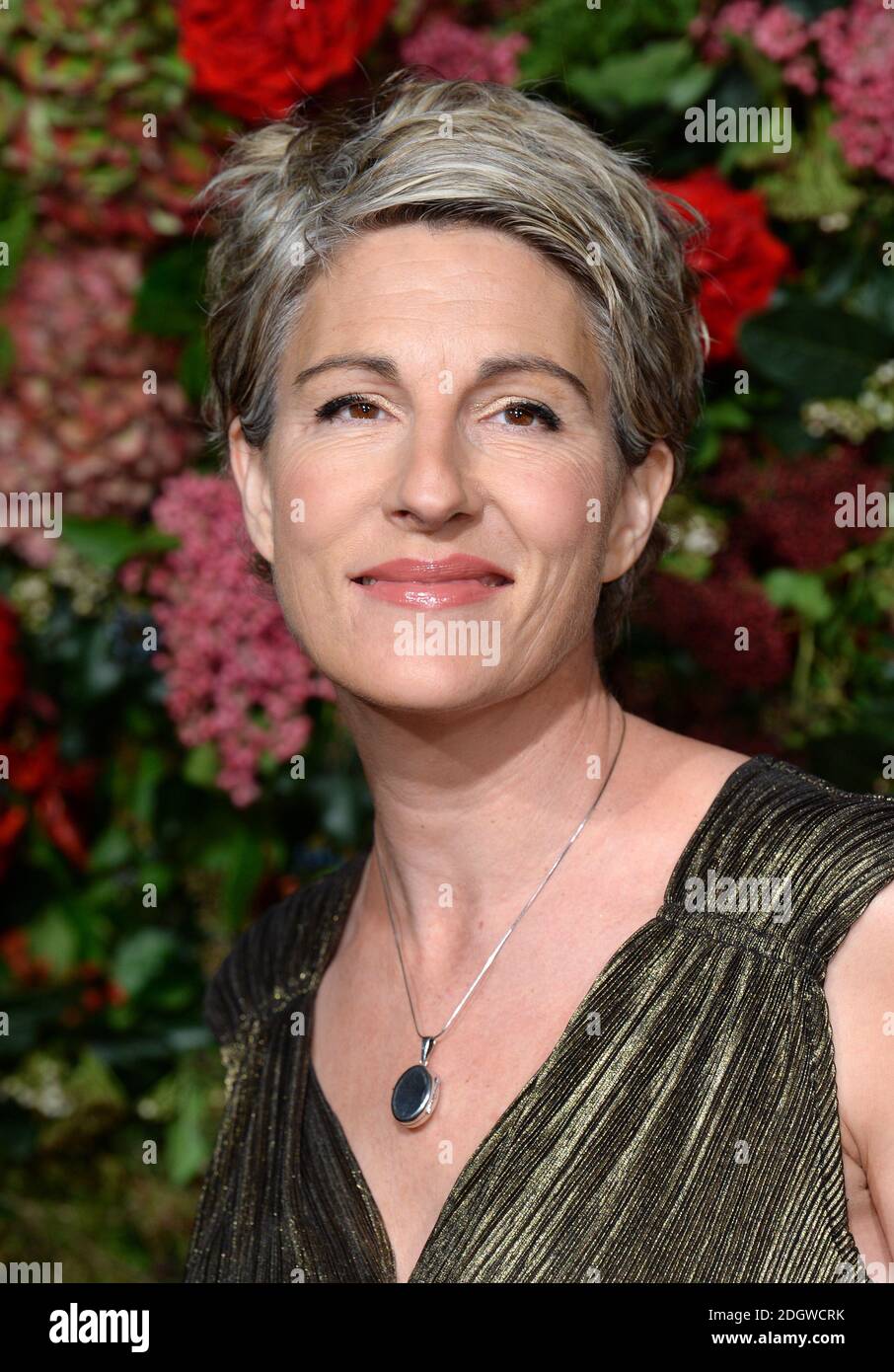 Tamsin Greig attending the Evening Standard Theatre Awards 2018 at the ...