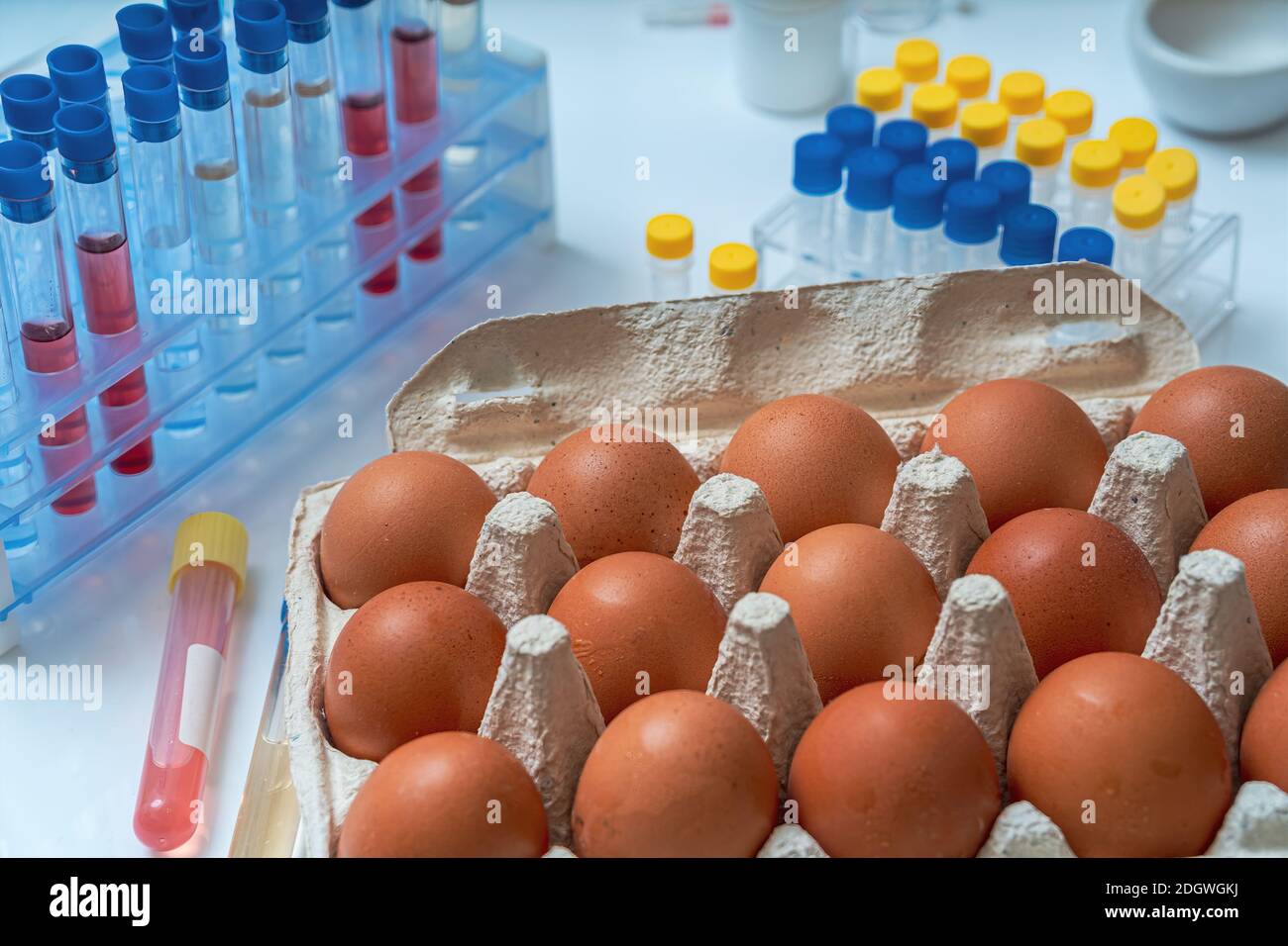 Testing eggs in laboratory hi-res stock photography and images - Alamy