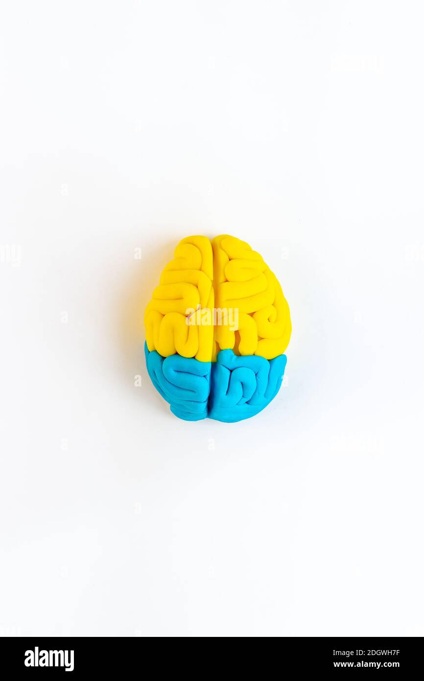Mental health concept. Human brain of colorfull clay, top view Stock ...