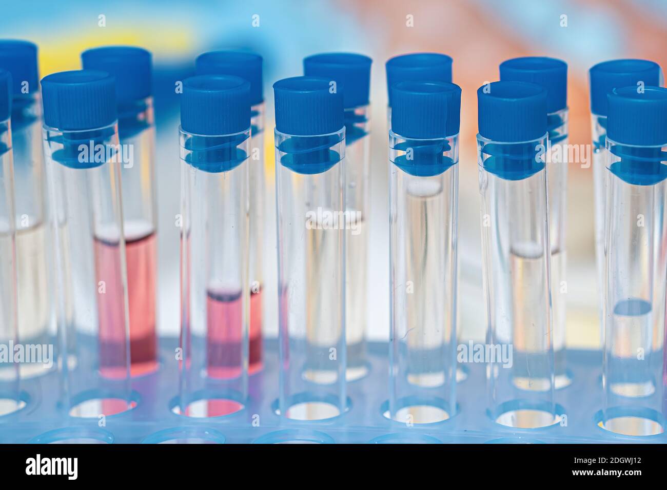 Test tubes in laboratory. Biotechnology, science and research concept ...