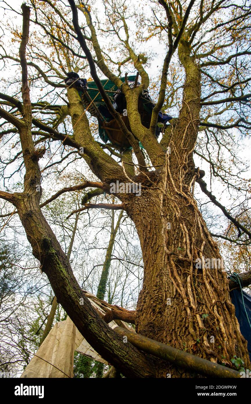 Denham, Buckinghamshire, UK. 9th December, 2020. Beautiful old oaks and ...