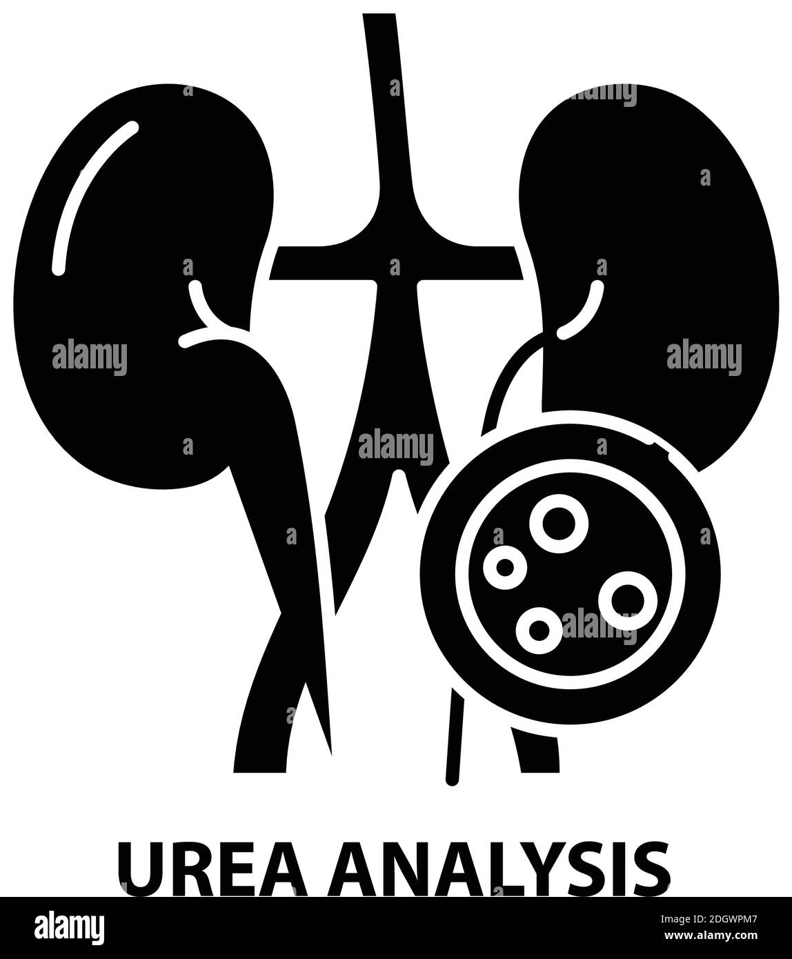 urea analysis icon, black vector sign with editable strokes, concept ...