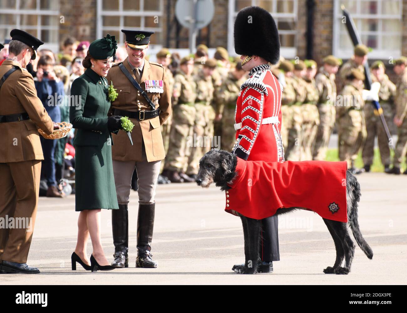 The Duchess of Cambridge meets the Irish Guards mascot, an Irish ...
