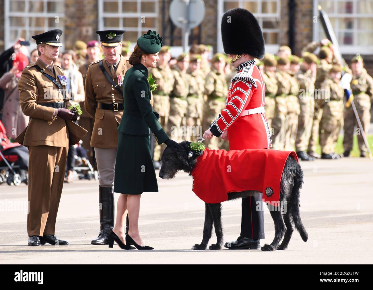 The Duchess of Cambridge meets the Irish Guards mascot, an Irish ...