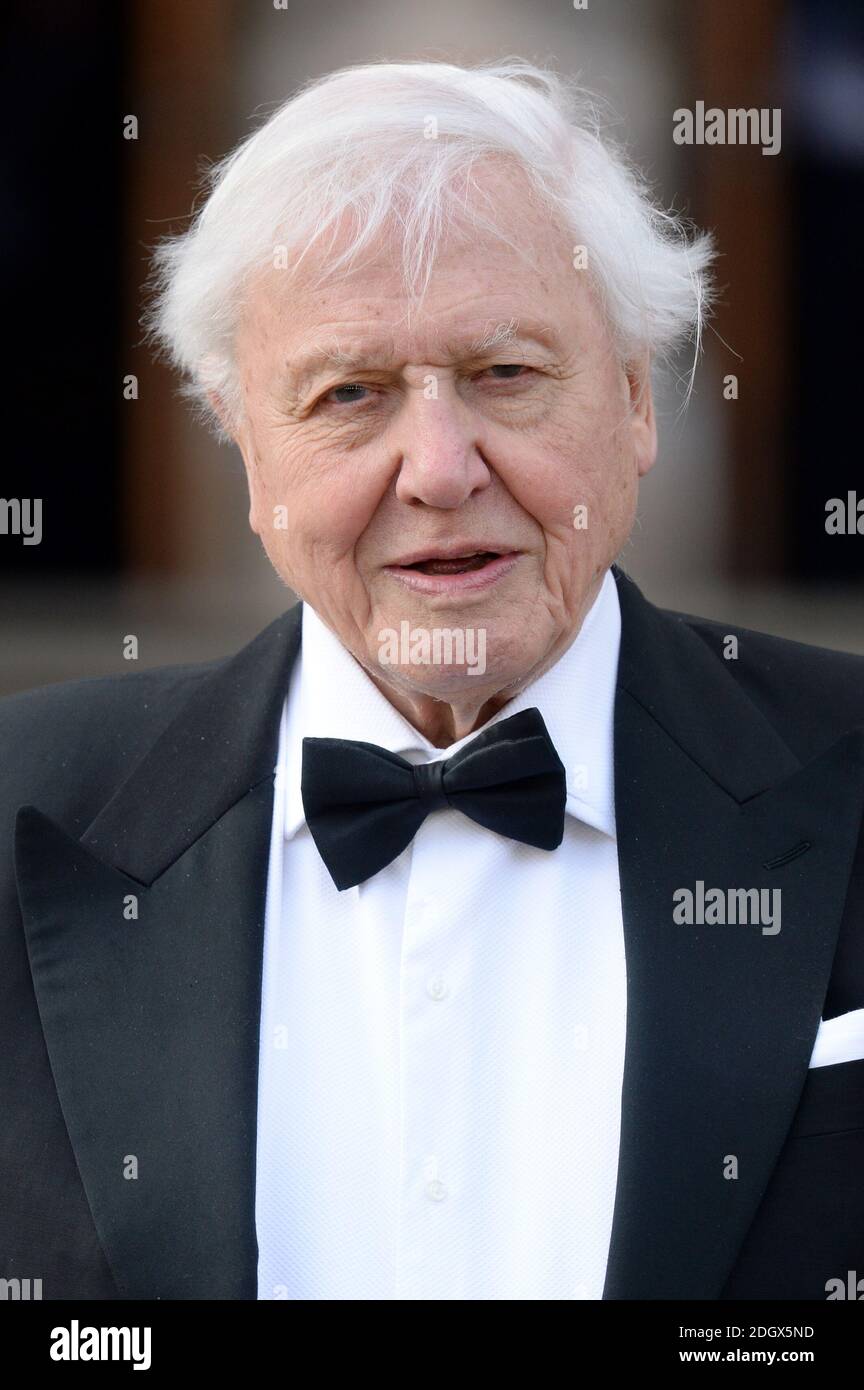 Sir David Attenborough attending the global premiere of Netflix's Our ...