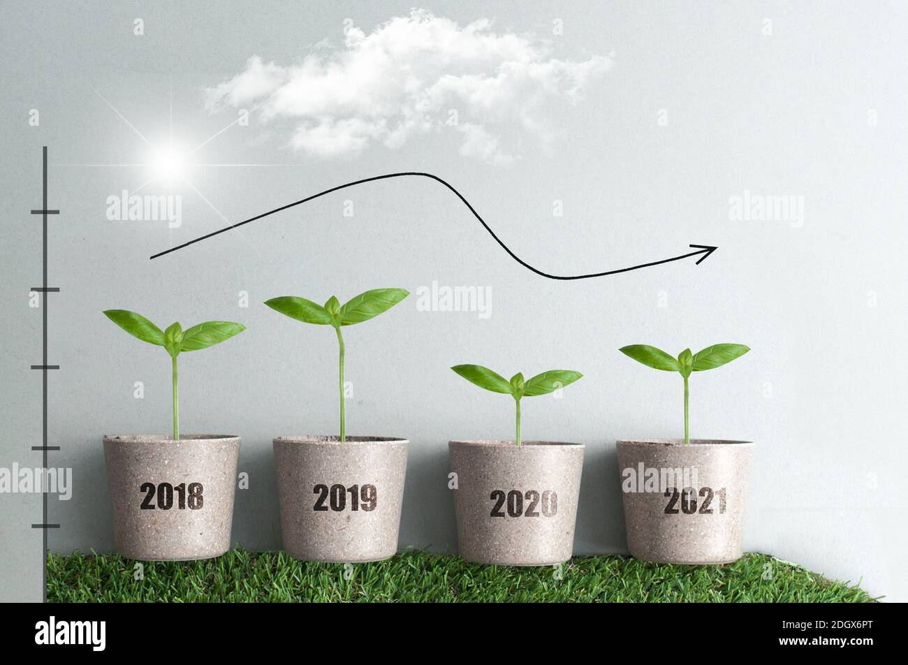 Plant growth comparison hi-res stock photography and images - Alamy