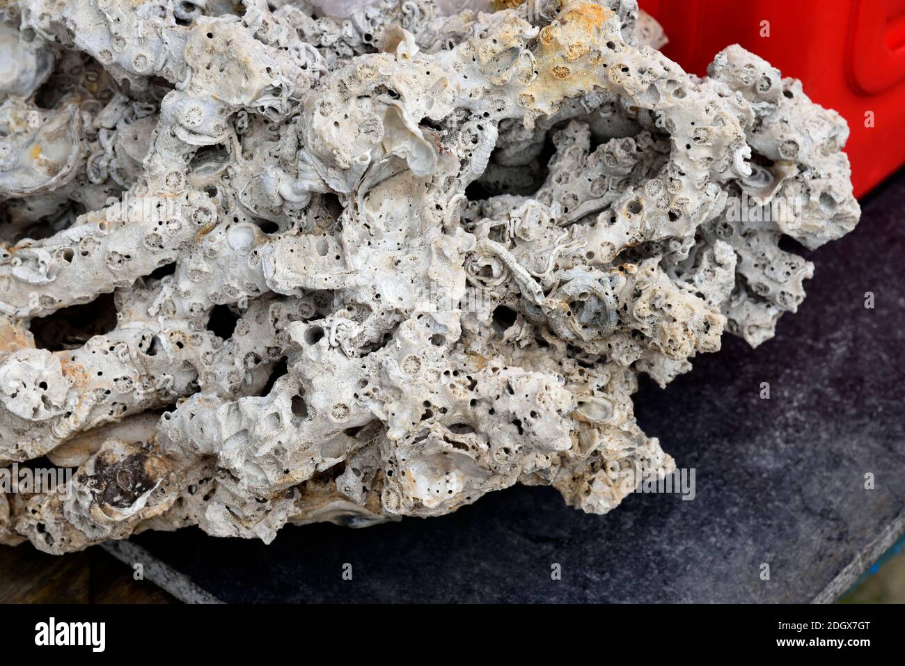 Shengsi Island China Stock Photo - Alamy