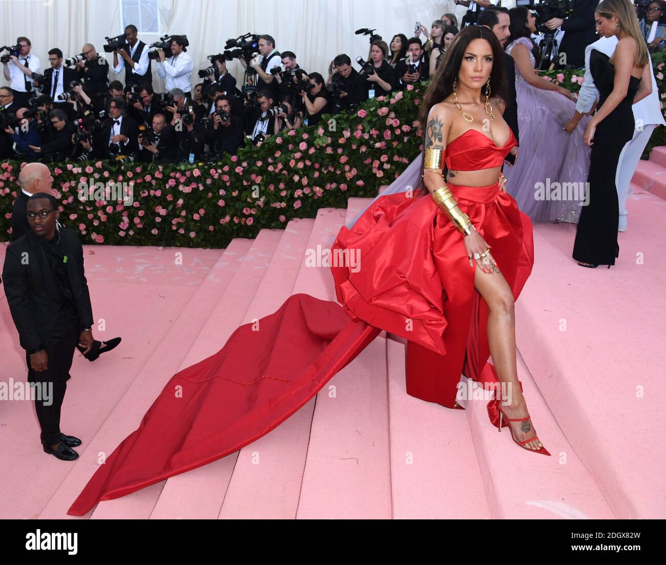 Halsey attending the Metropolitan Museum of Art Costume Institute ...