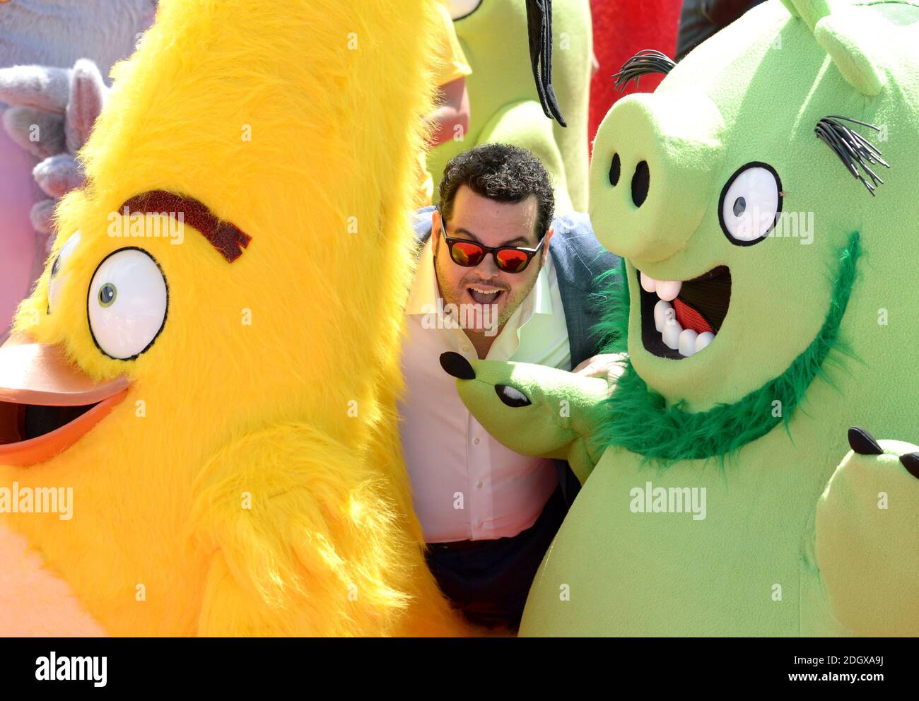 Josh Gad attending The Angry Birds Movie 2, Carlton Hotel Pier, Cannes ...