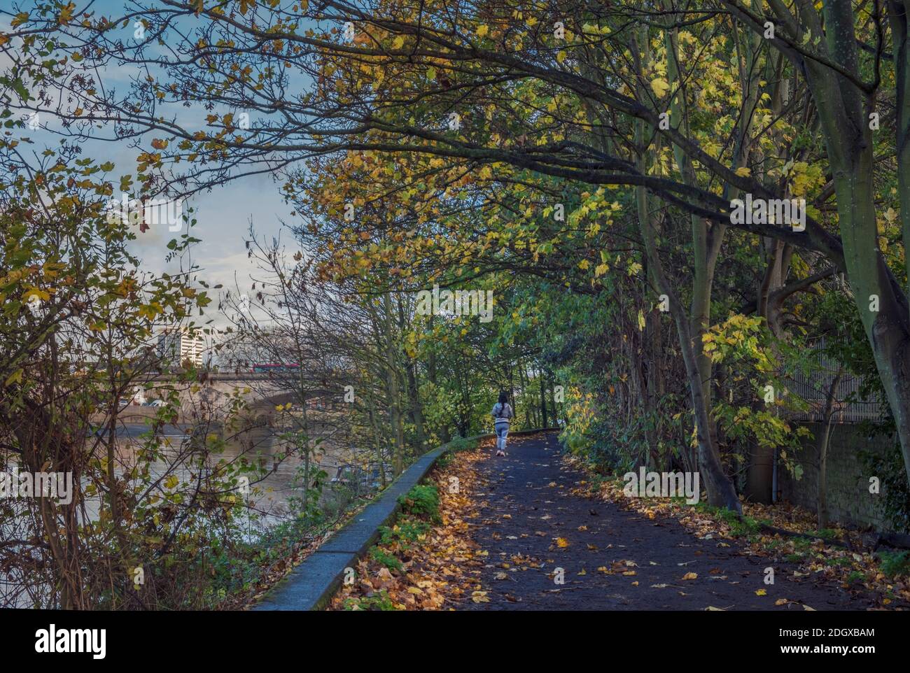 Thames path river kew london hi-res stock photography and images - Alamy