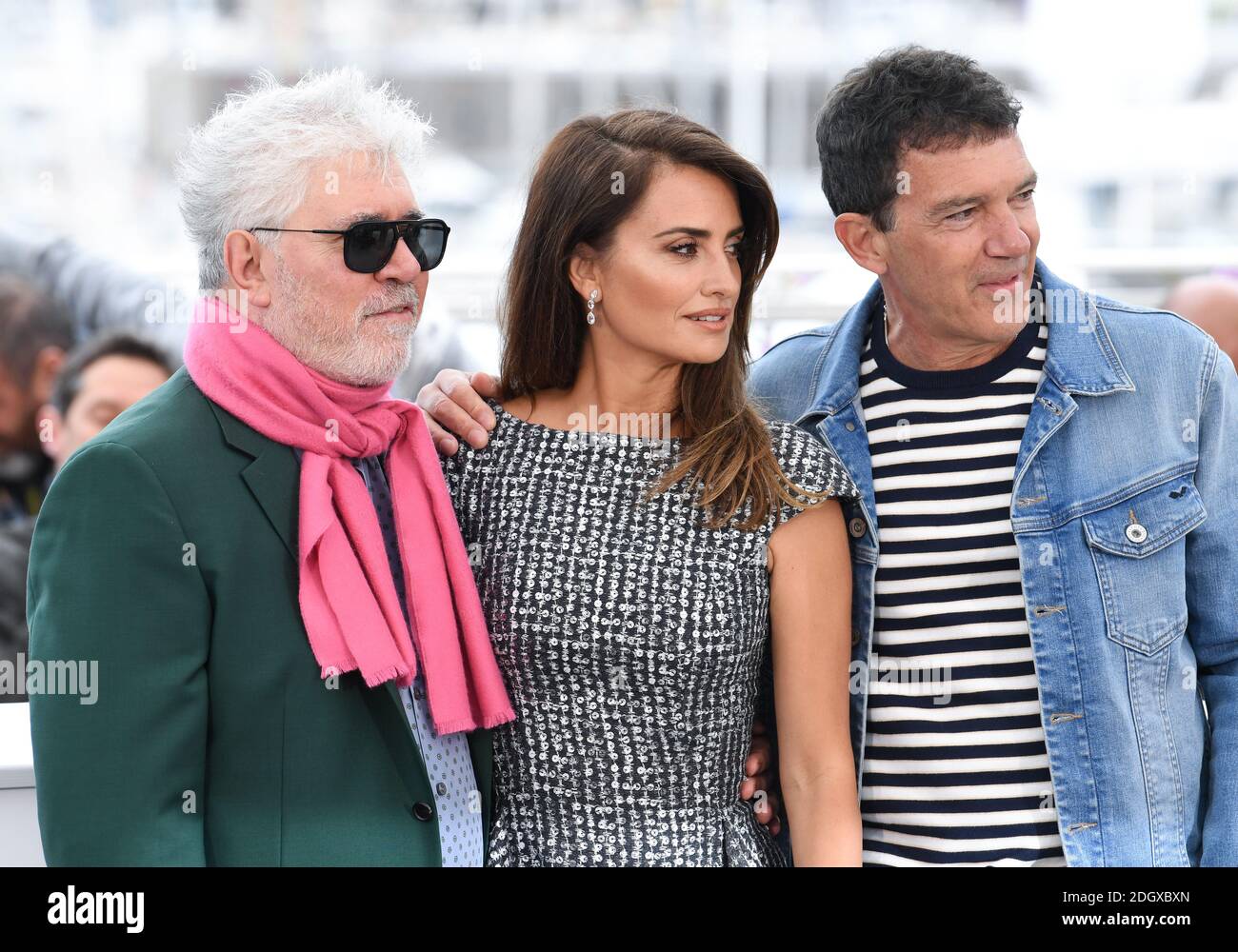 Pedro Almodovar, Antonio Banderas and Penelope Cruz attending the Pain ...