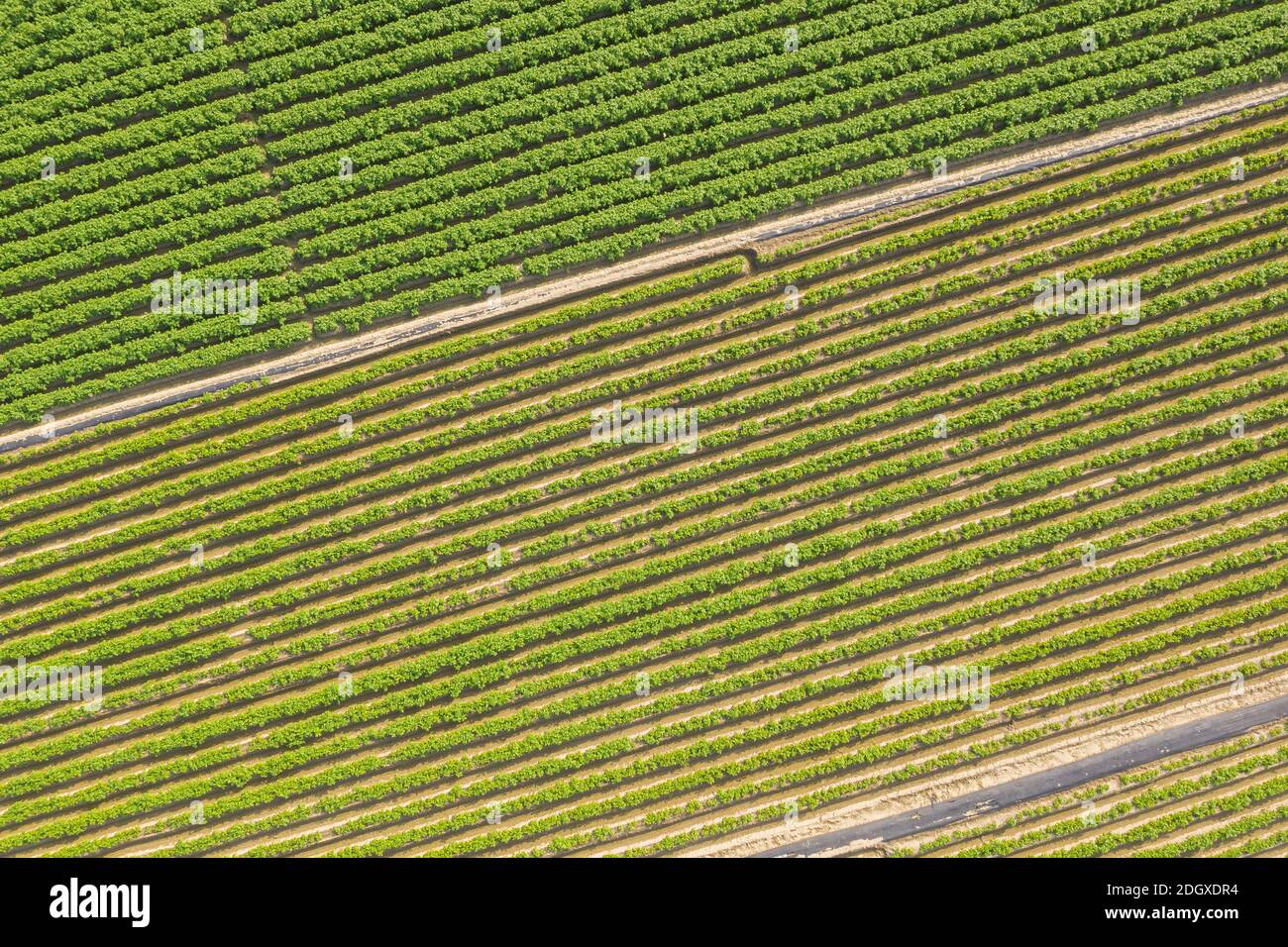 Aerial view of farm Stock Photo - Alamy