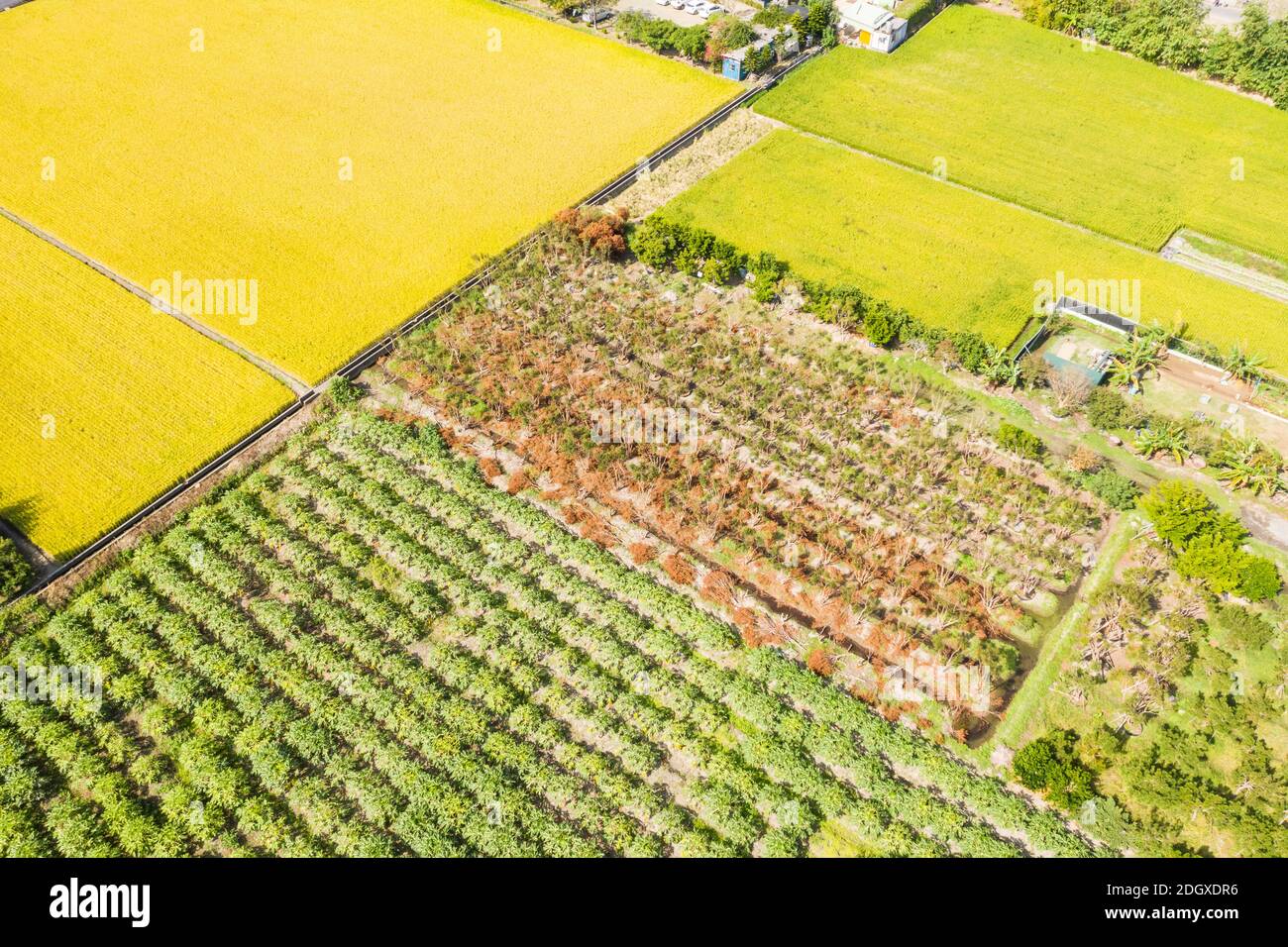 Aerial view vegetable farm hi-res stock photography and images - Alamy