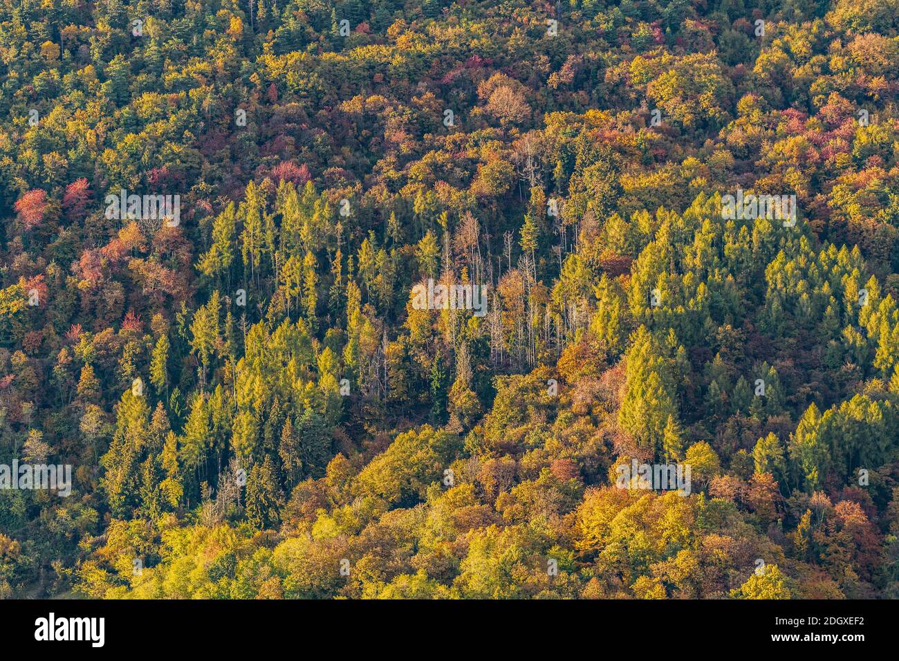 Italy Veneto Monte Cesen - Dintorni di Pianezze Stock Photo - Alamy