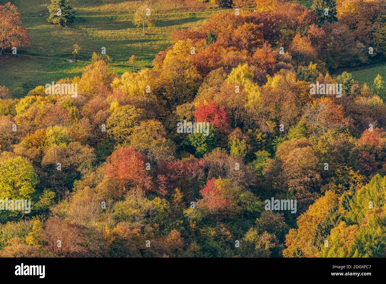 Italy Veneto Monte Cesen - Dintorni di Pianezze Stock Photo - Alamy