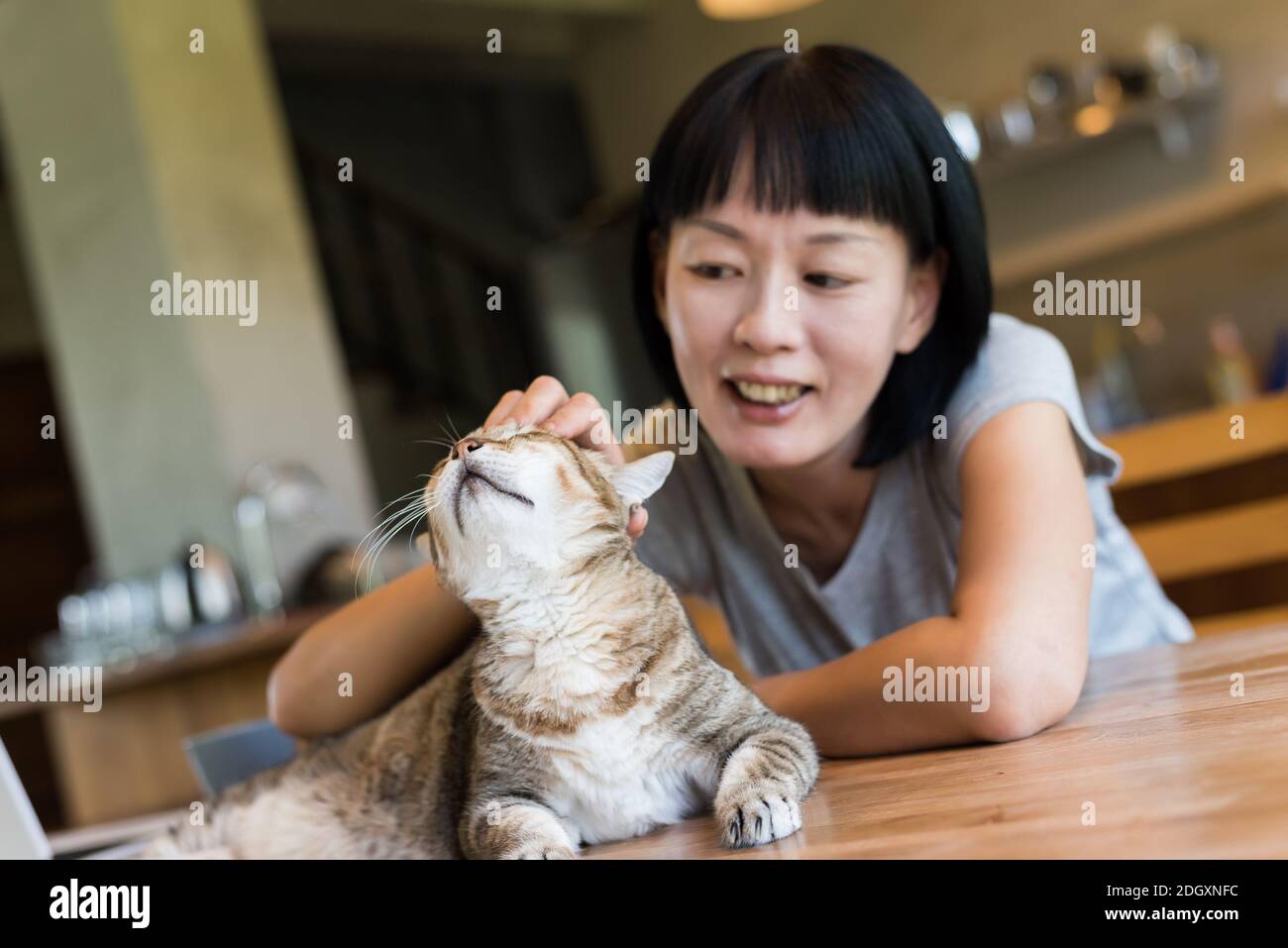 Woman touch her cat Stock Photo - Alamy