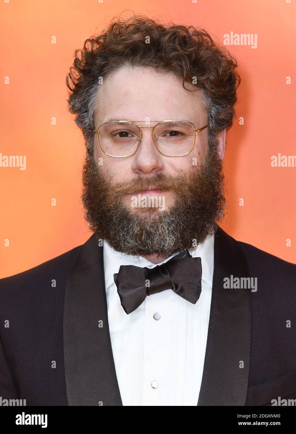 Seth Rogan at the European Premiere of The Lion King, Odeon Cinema ...