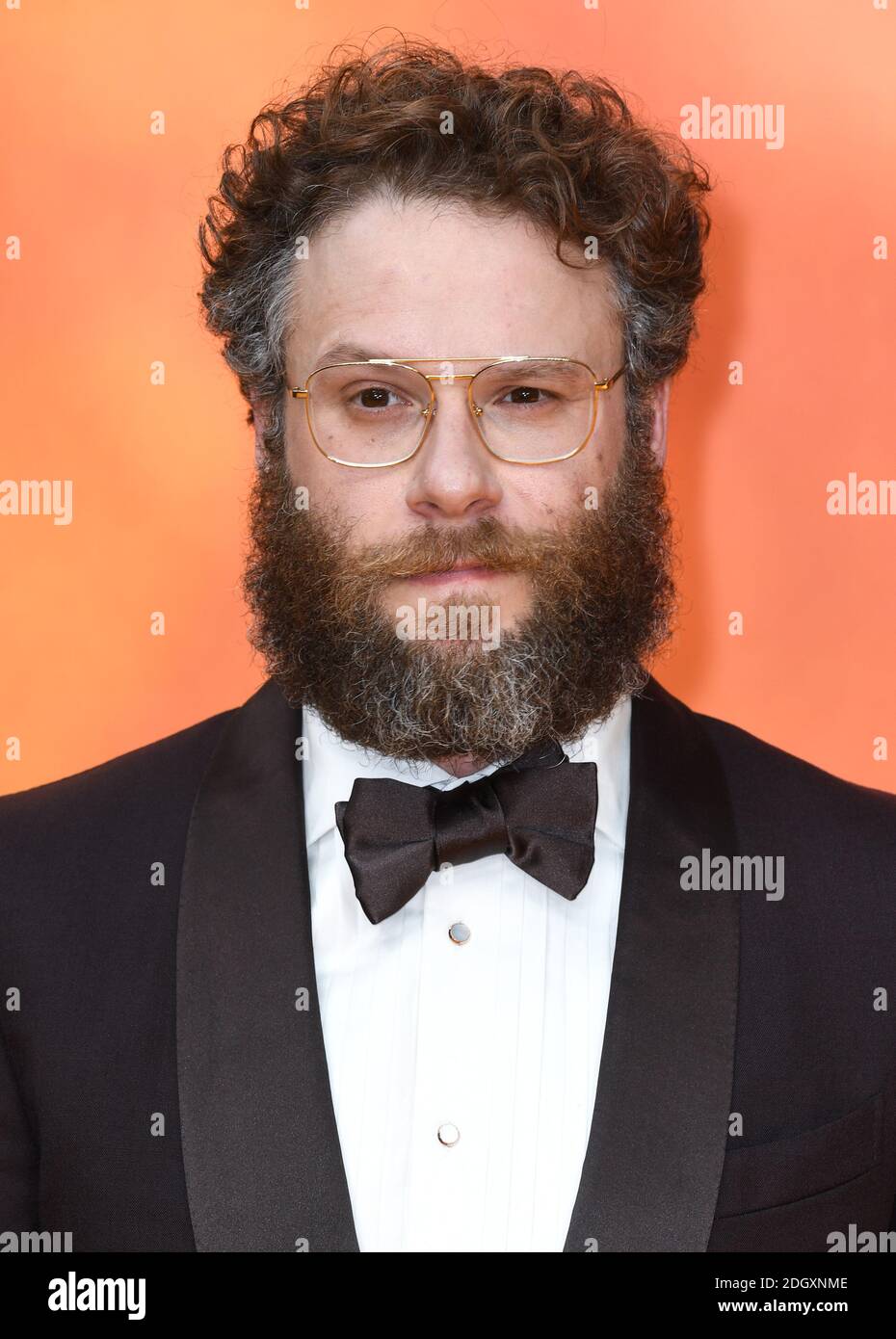 Seth Rogan at the European Premiere of The Lion King, Odeon Cinema ...