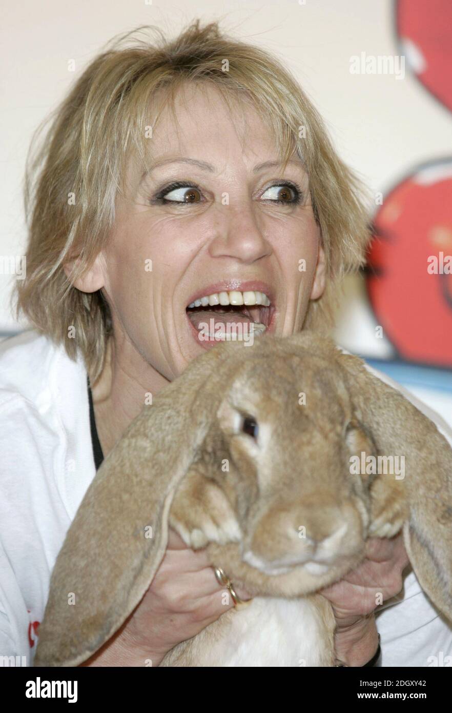 Ingrid Tarrant, celebrity patron of the Rabbit Welfare Fund, launches ...