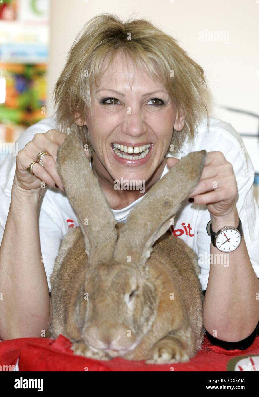 Ingrid Tarrant, celebrity patron of the Rabbit Welfare Fund, launches ...