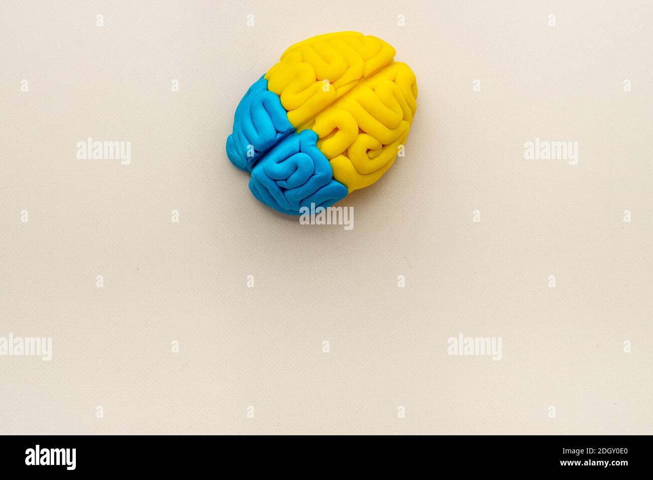 Top view of human brain made of clay. Mental health concept Stock Photo ...