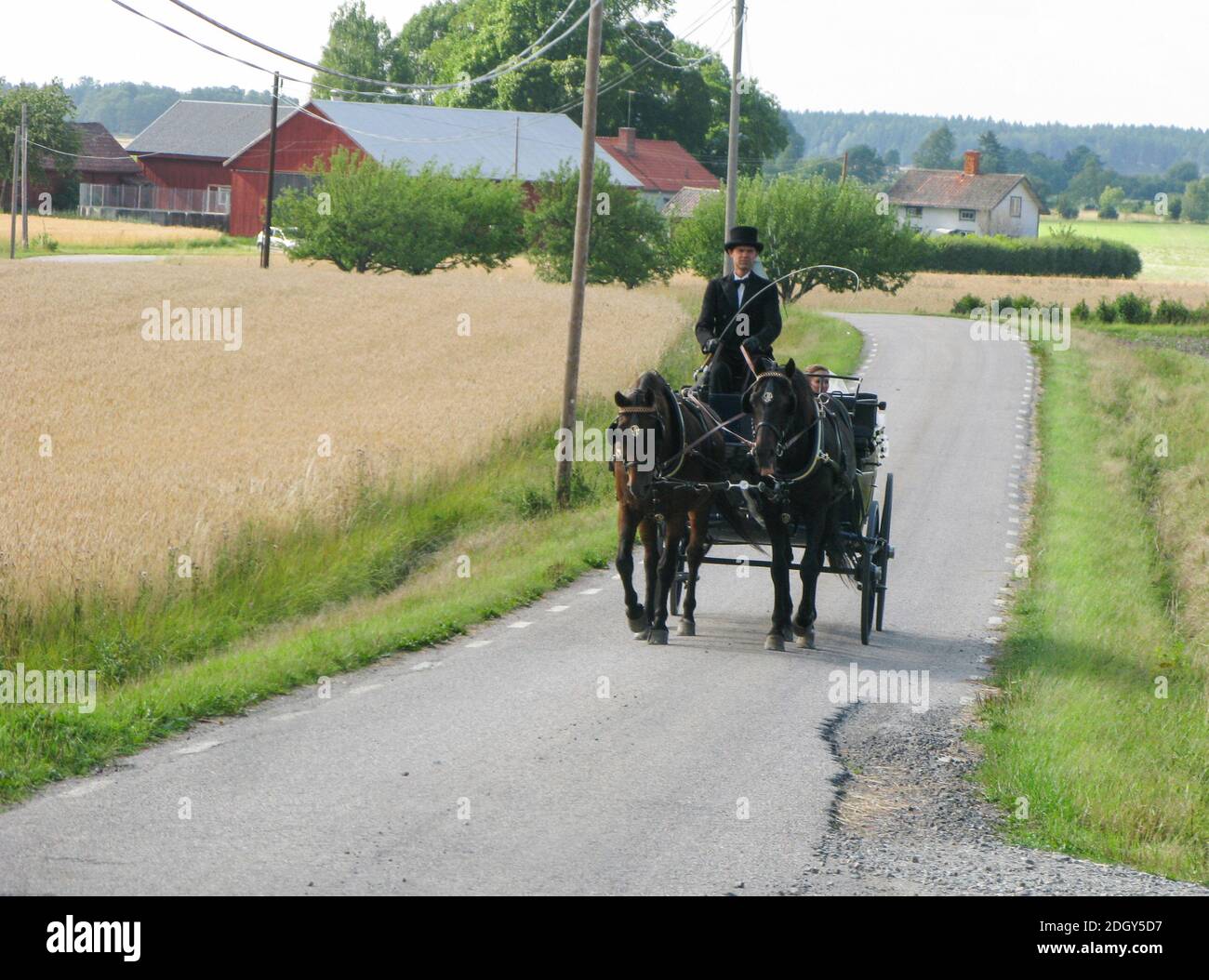 CARRIAGE drawn by two horses in the farmer landscape Stock Photo - Alamy