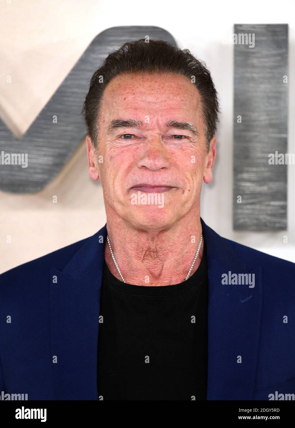 Arnold Schwarzenegger attending the Terminator: Dark Fate photocall at ...