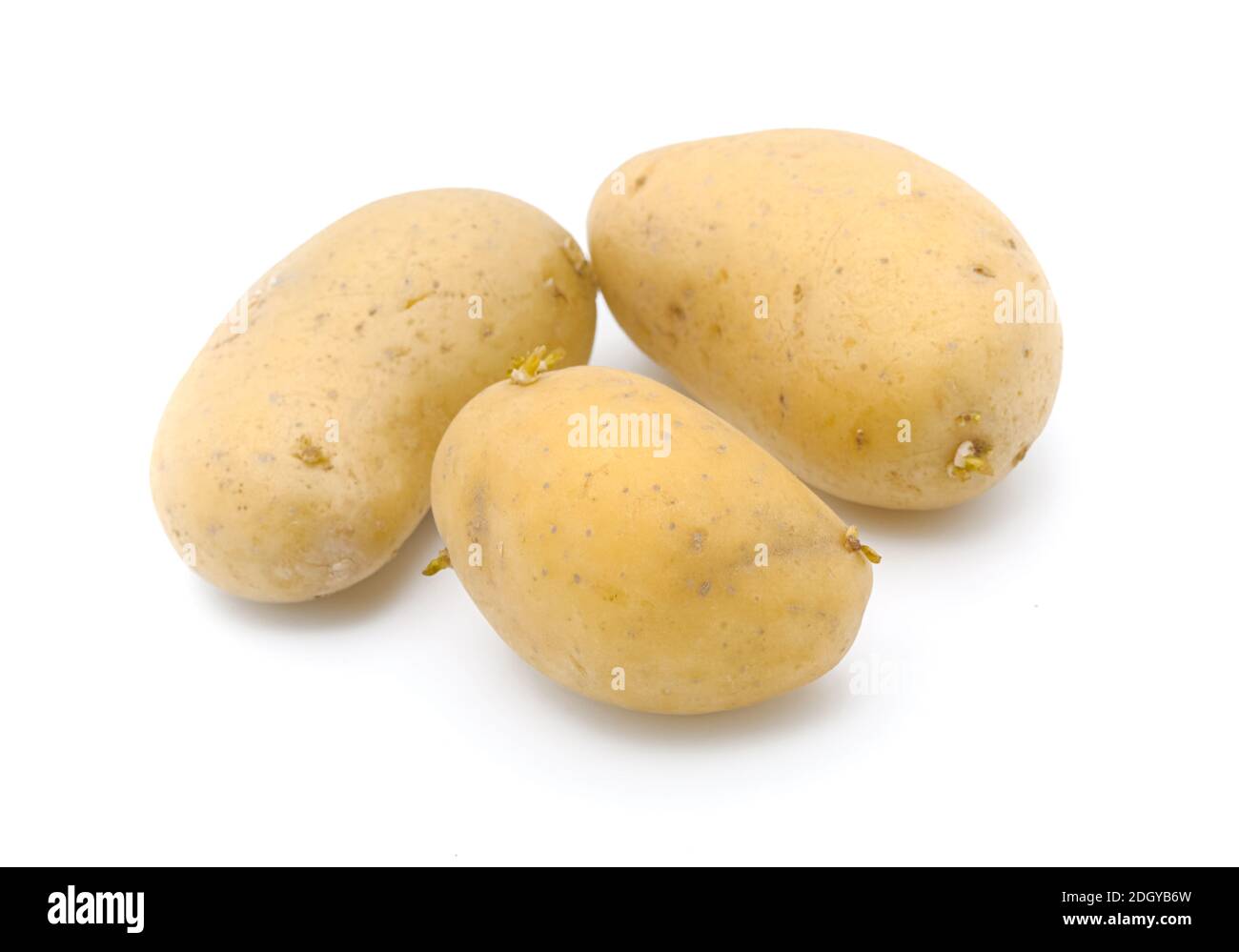 focus on sprouted new potatoes isolated on white background Stock Photo ...