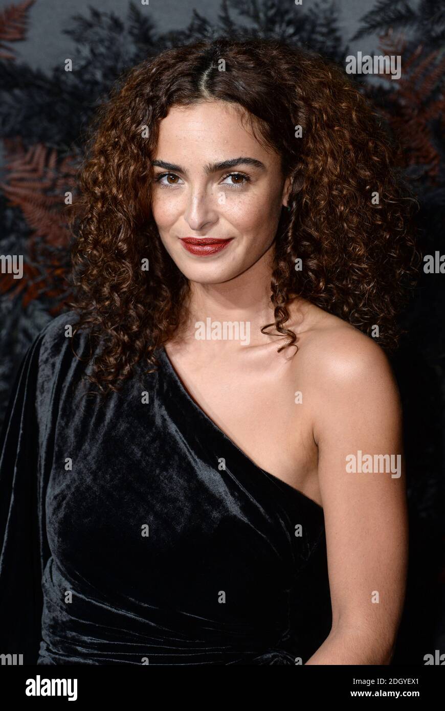 Anna Shaffer attending the Witcher World Premiere held at Vue Cinema ...