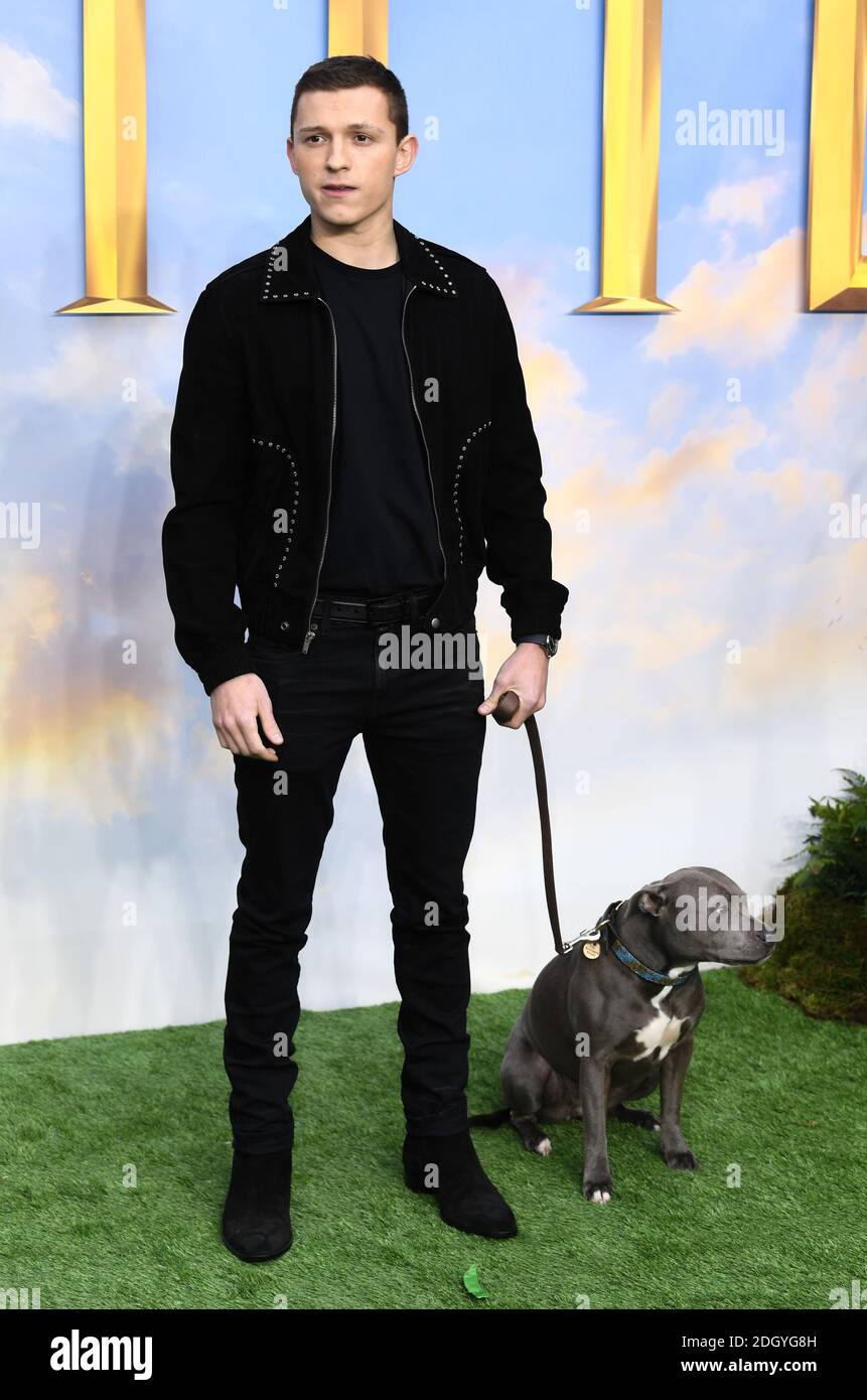 Tom Holland and his dog Tessa attending the Dolittle premiere ...