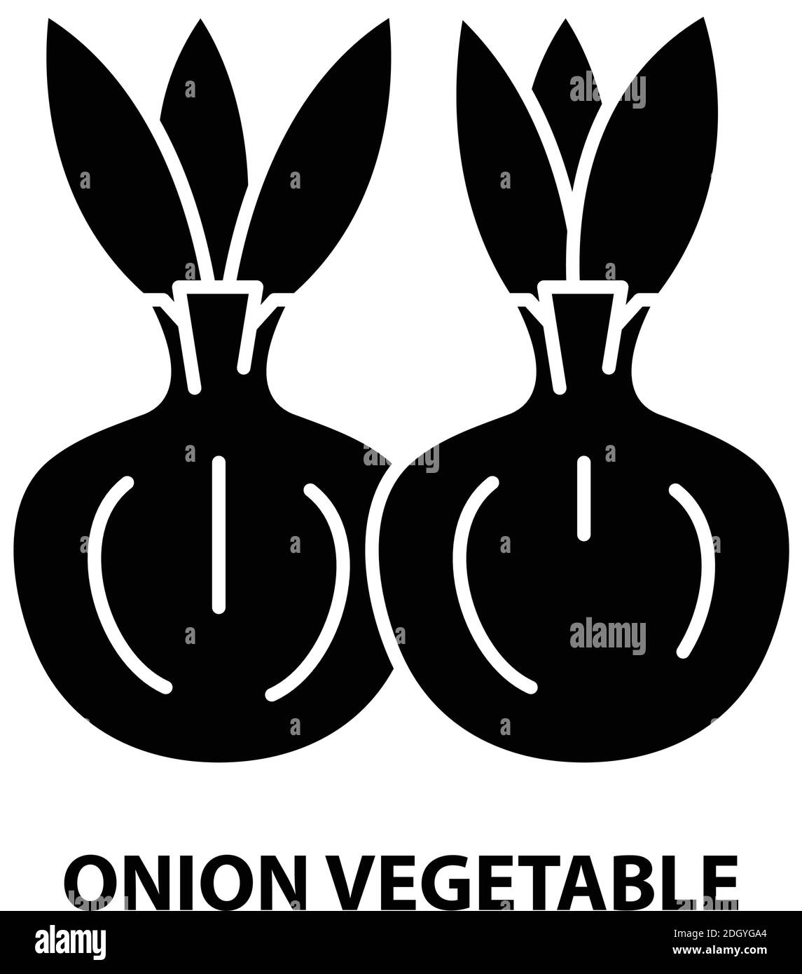 Onion vegetable Black and White Stock Photos & Images - Alamy