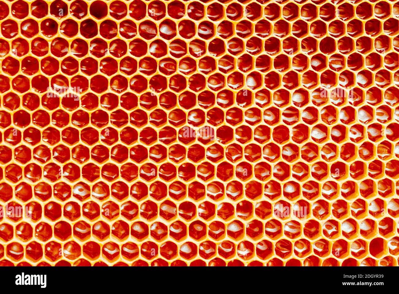 Honey texture hi-res stock photography and images - Alamy