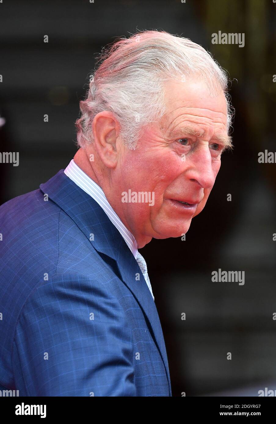 Royal charles head shot headshot prince of wales royals royalty hi-res ...