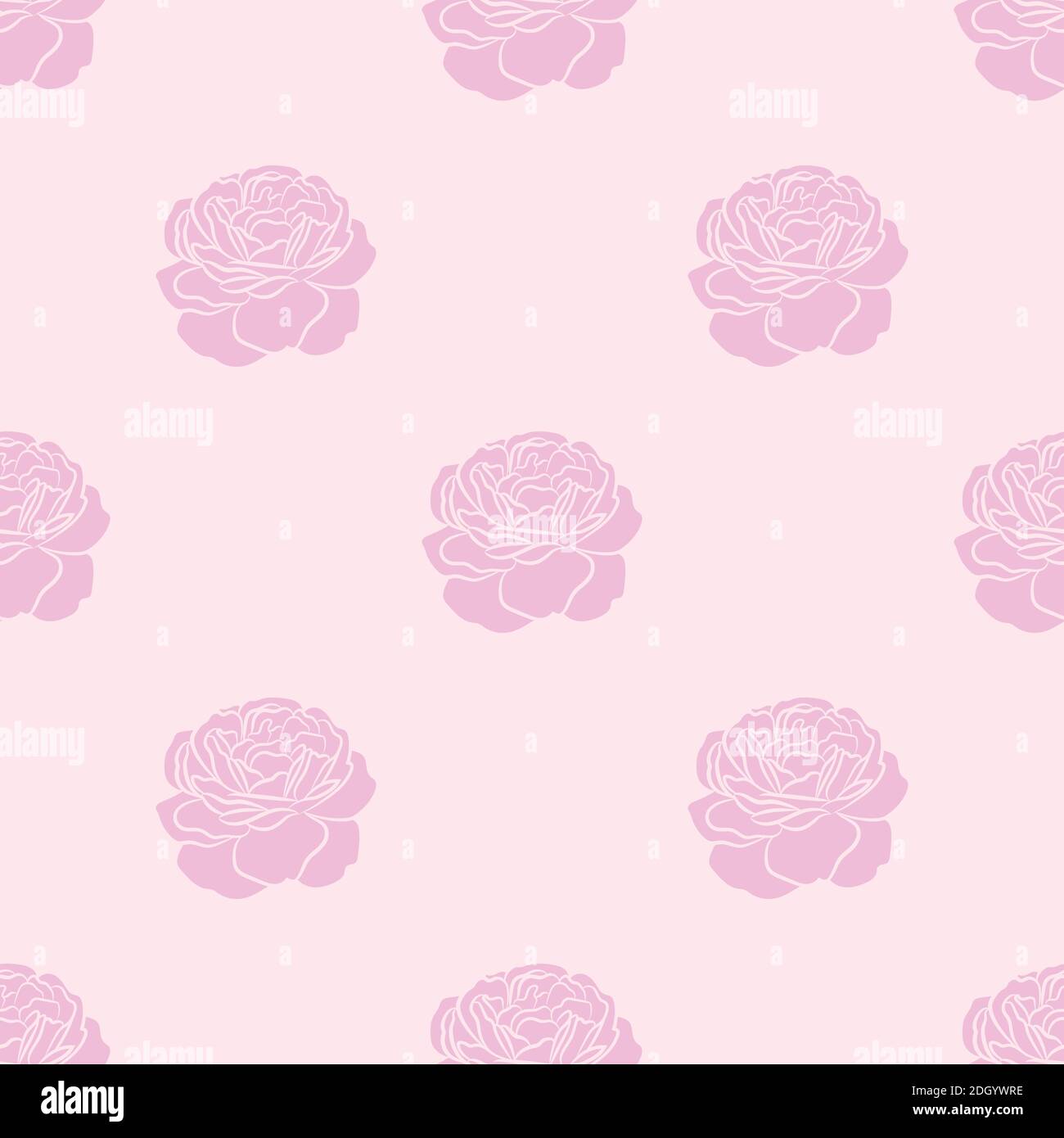 Pastel pink peony Stock Vector Images - Alamy