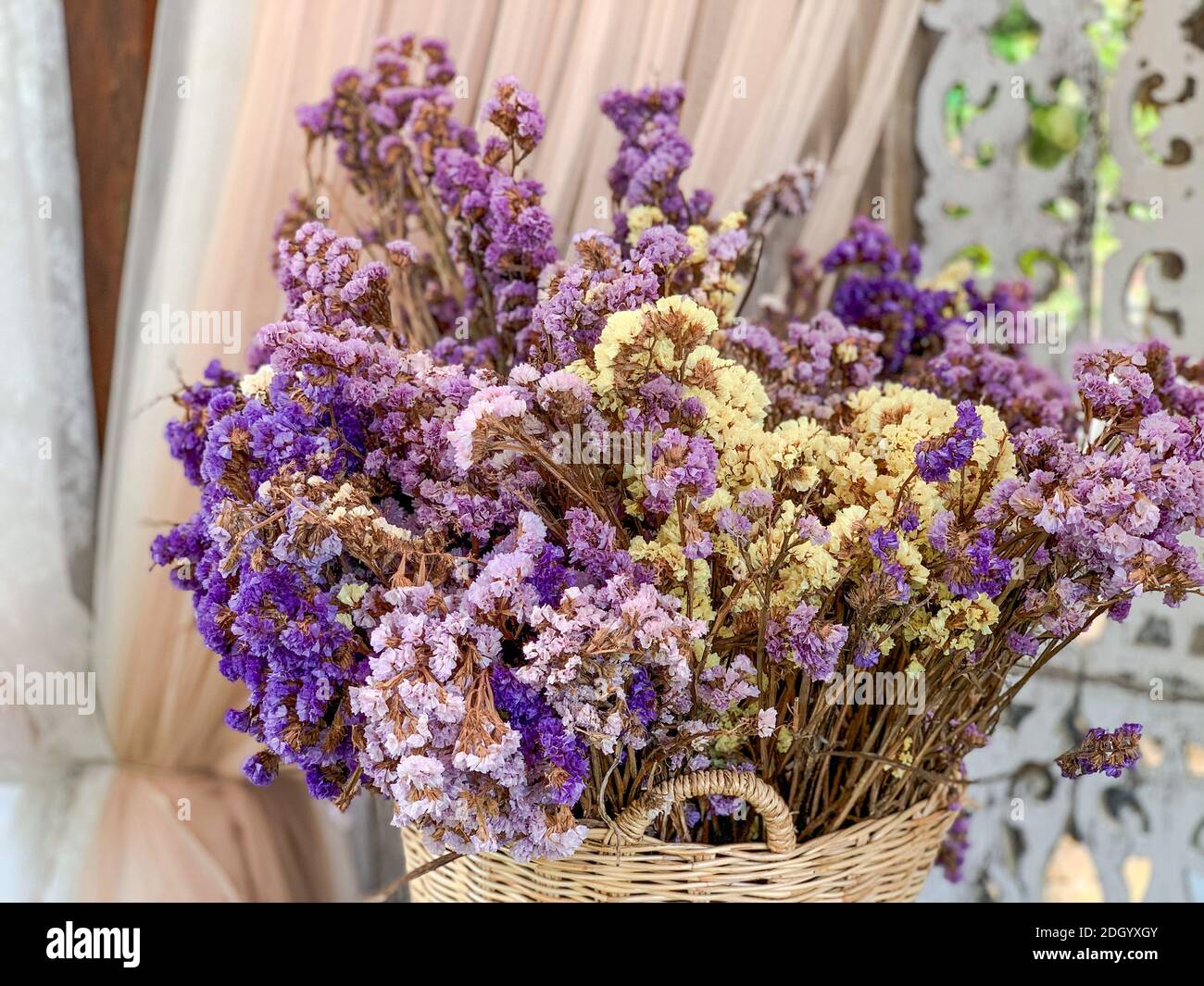 Static dry flowers are beautifully decorated for coffee shops Stock ...