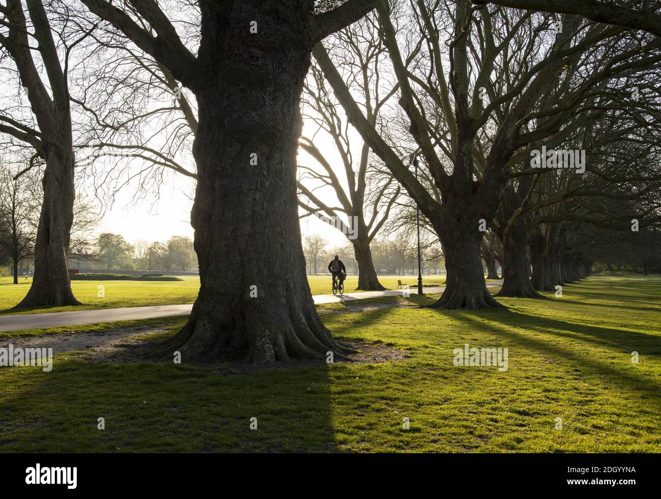 A cyclist on Jesus Green at sunrise in Cambridge. Photo credit should ...