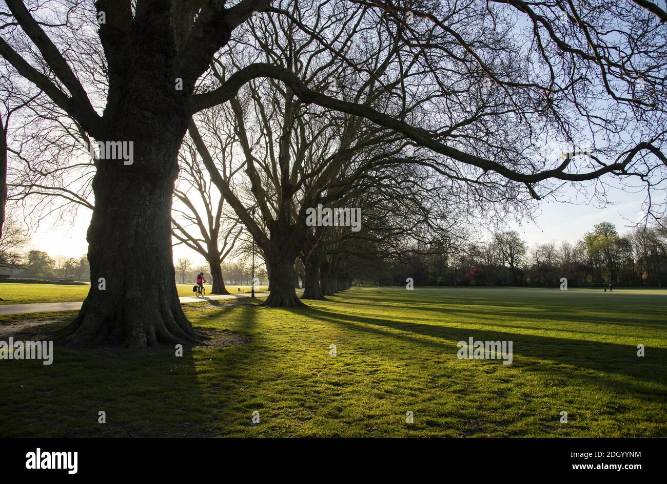 A cyclist on Jesus Green at sunrise in Cambridge. Photo credit should ...