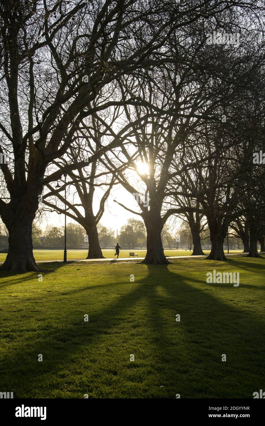 A jogger on Jesus Green at sunrise in Cambridge. Photo credit should ...