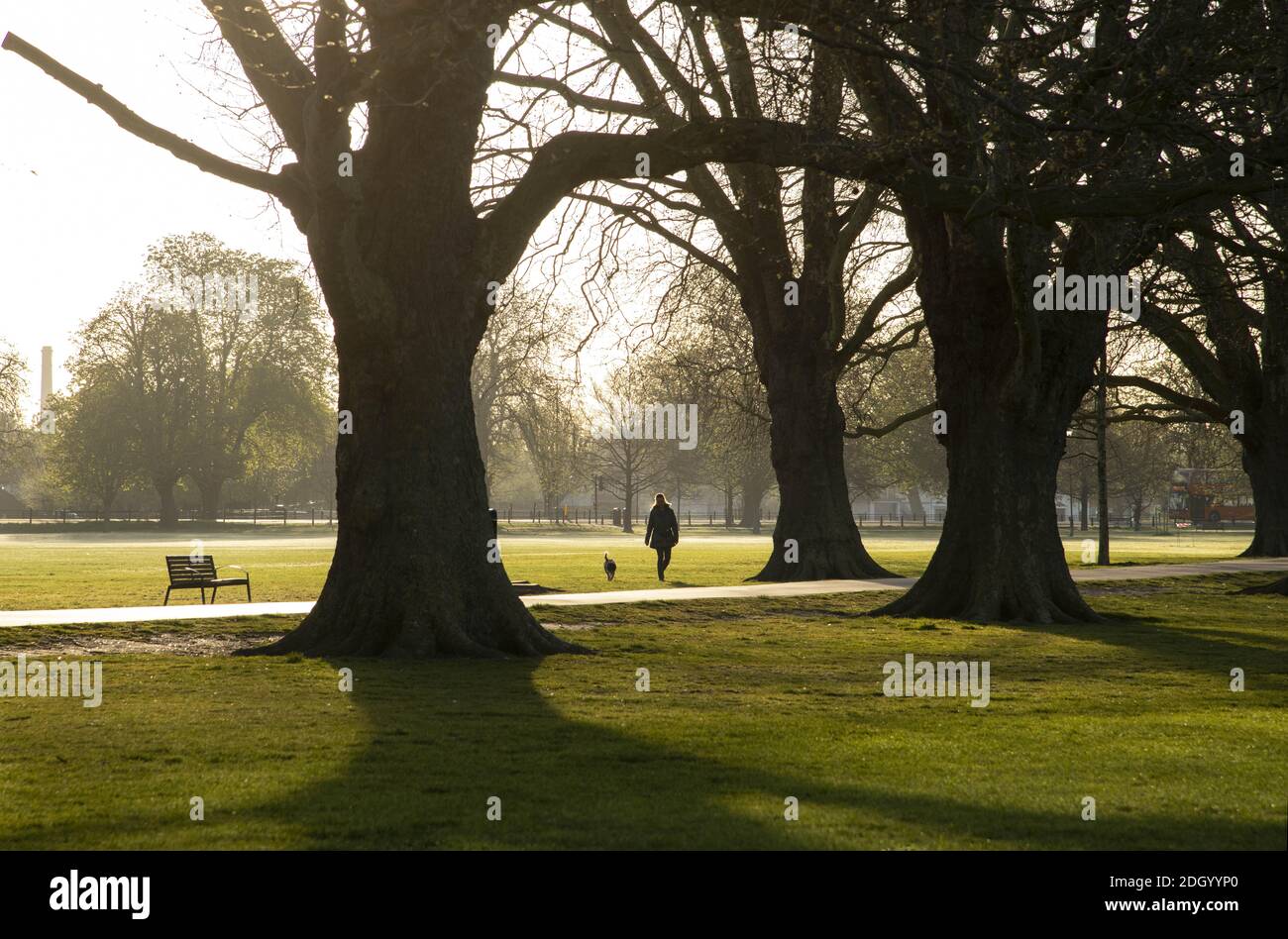 Jesus Green at sunrise in Cambridge. Photo credit should read: Doug ...